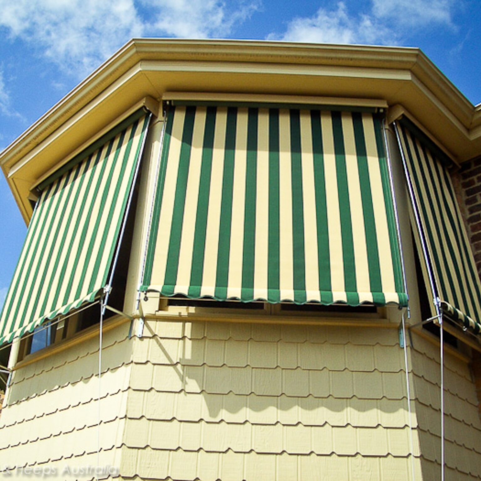 The History of Brella - Nolan