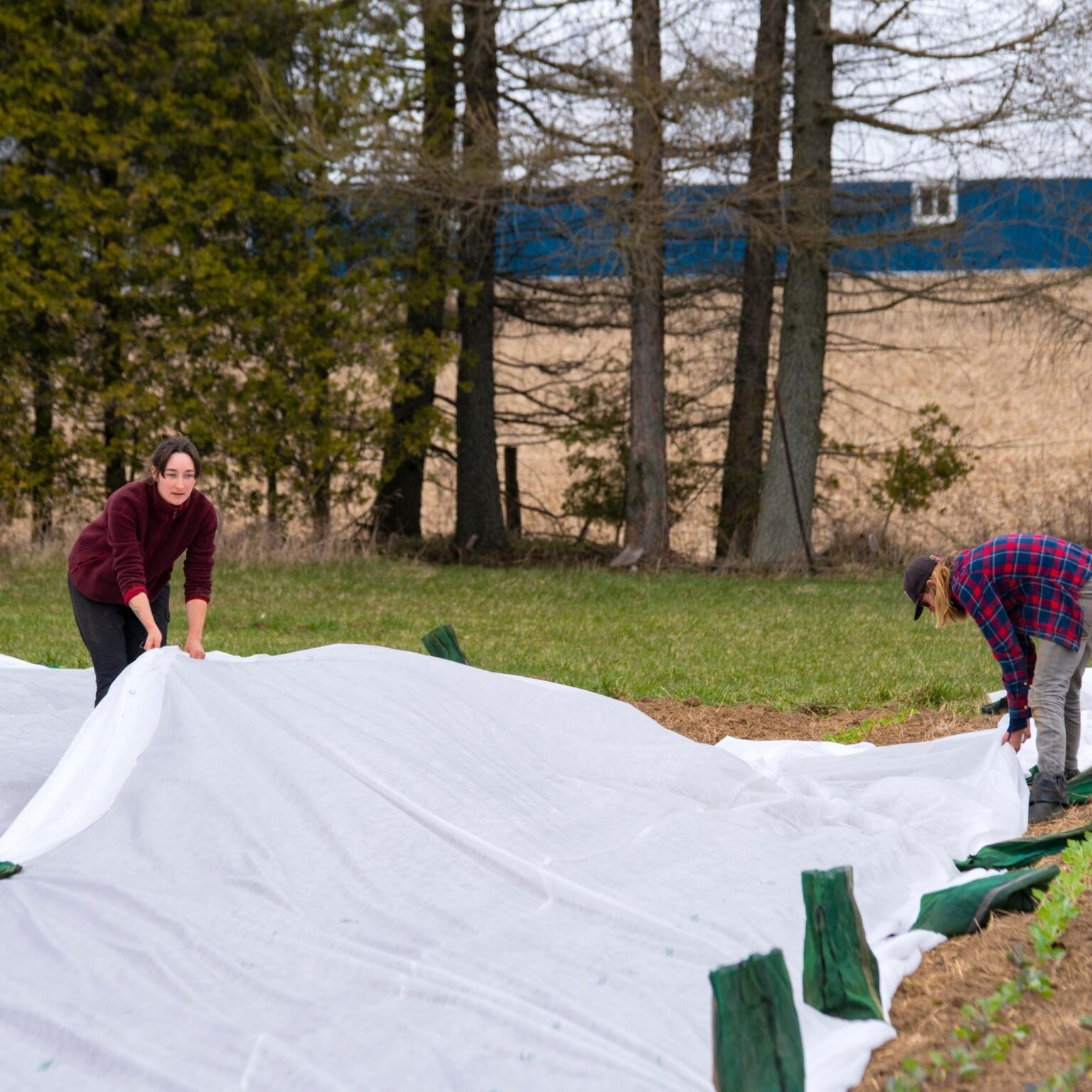 Nolan Group: Agriculture | Crop Protection | Netting